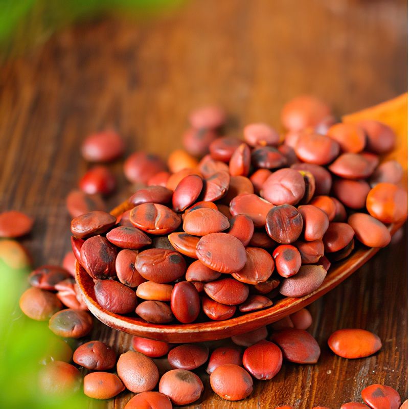 Toan táo nhân thang (Kim quỹ yếu lược) - Thiện Minh Y Quán